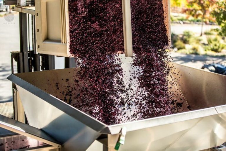 Vinificação e o Processo de Produção do Vinho – LMH-Wines